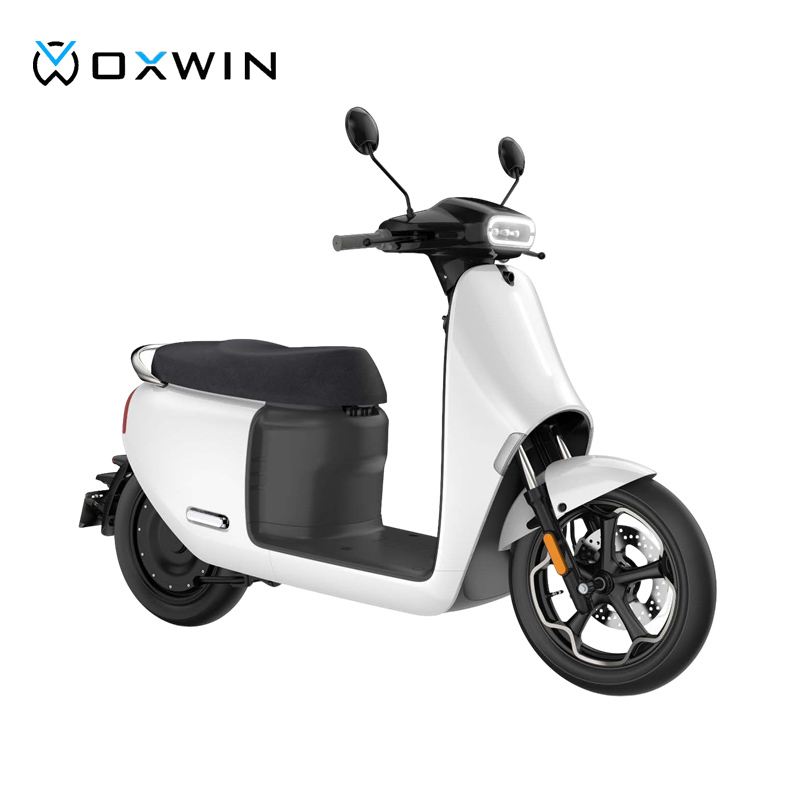 Wenling Import & Export Co., Ltd.